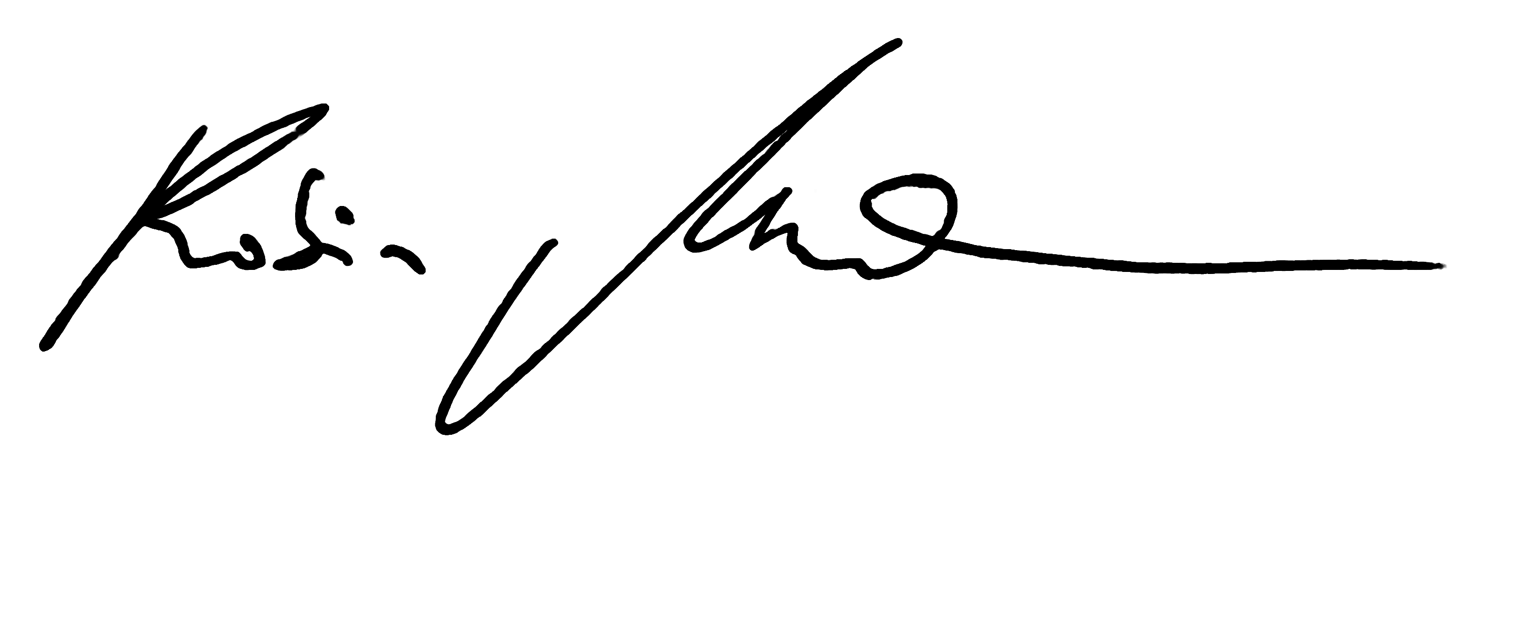 Home - Robin Mesarosch